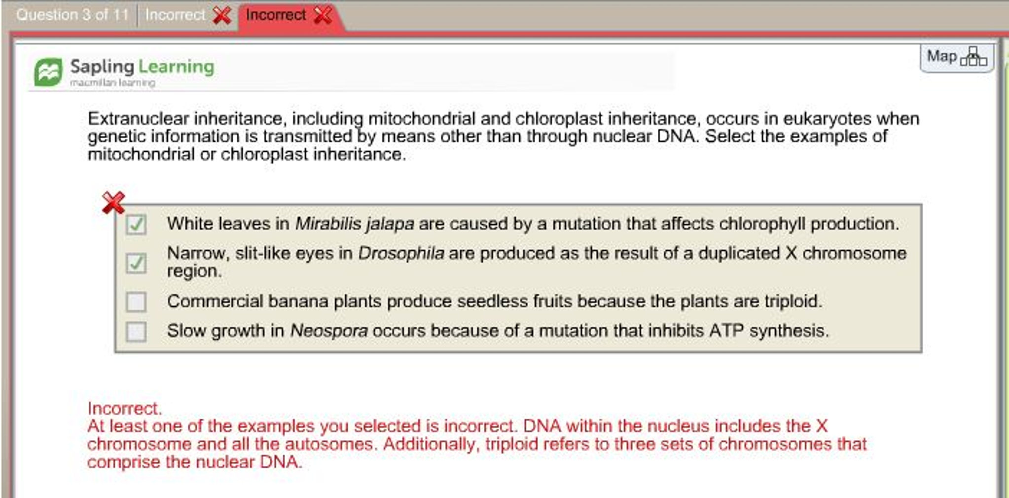 Solved: Extranuclear Inheritance, Including Mitochondrial ... | Chegg.com