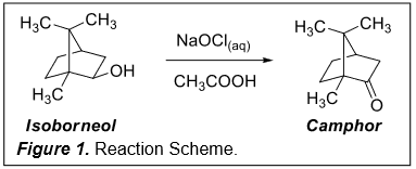 Solved: Oxidation Of A Secondary Alcohol Synthesis Of Camp... | Chegg.com