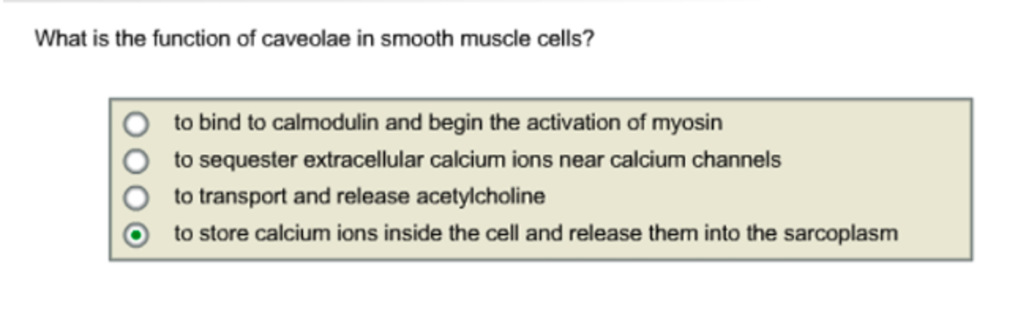 Solved What is the function of caveolae in smooth muscle | Chegg.com