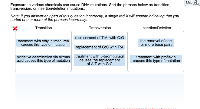 Solved: Exposure To Various Chemicals Can Cause DNA Mutati... | Chegg.com