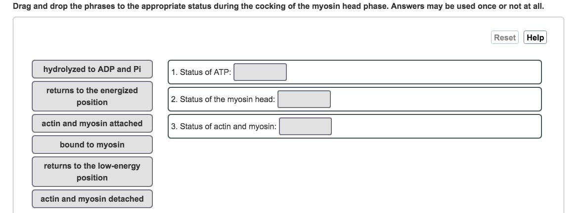 Solved Drag and drop the phrases to the appropriate status | Chegg.com