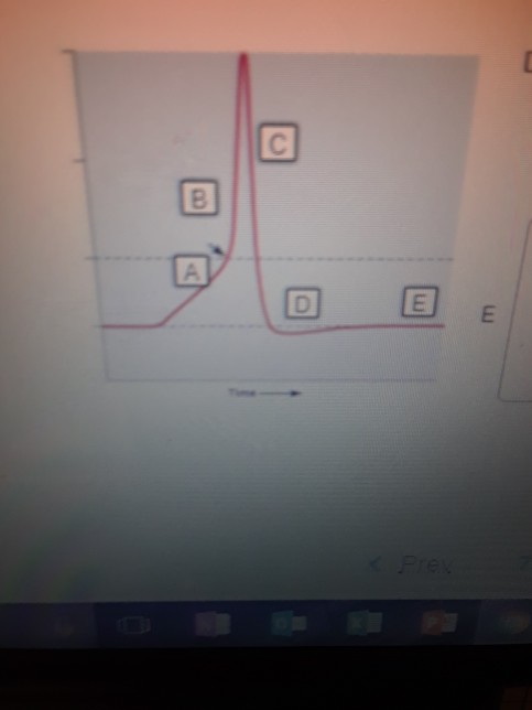 Solved: PLACE EACH OF THE FOLLOWING LABELS IN THE PROPER P... | Chegg.com