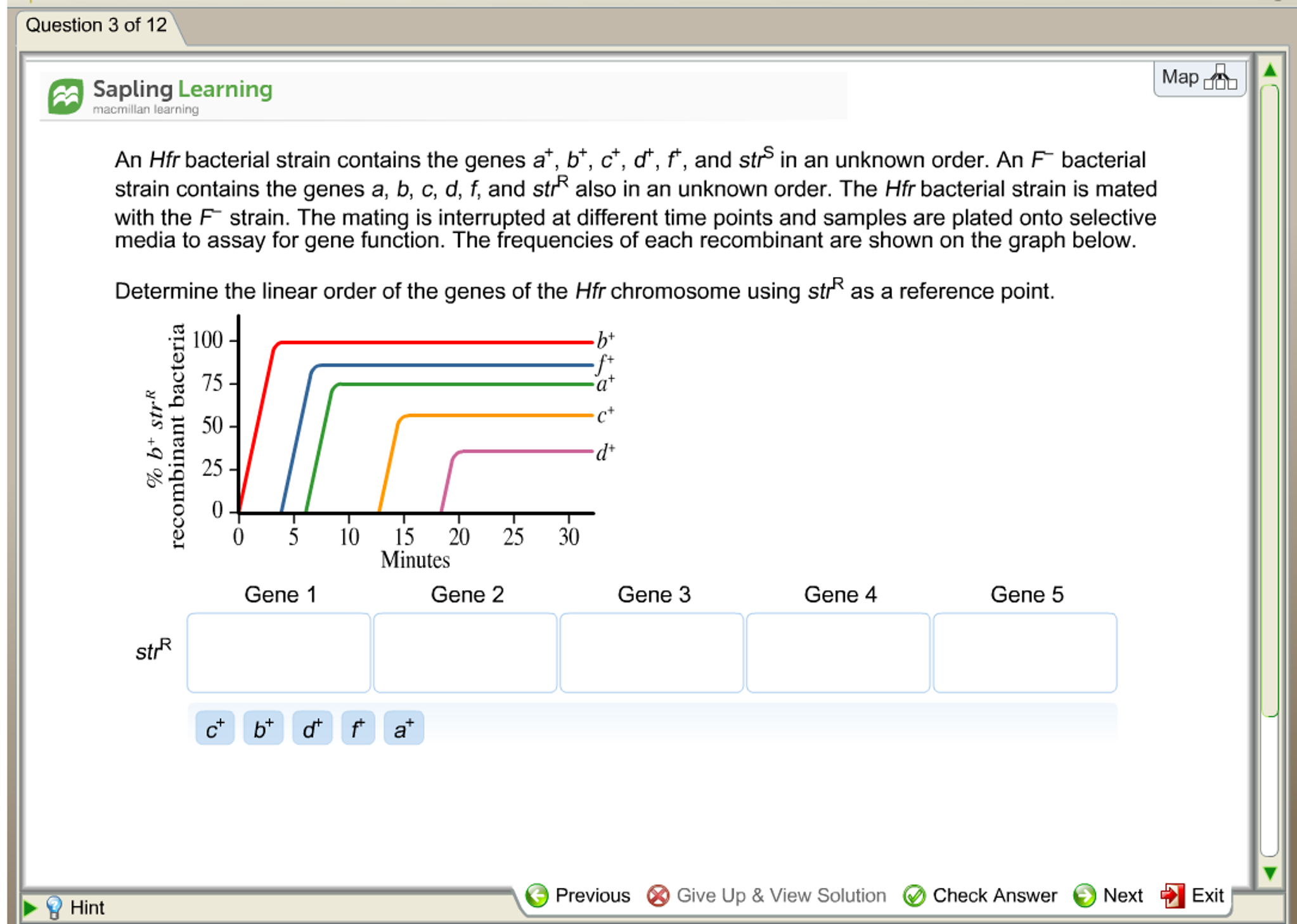 Solved: An Hfr Bacterial Strain Contains The Genes A , B ,... | Chegg.com