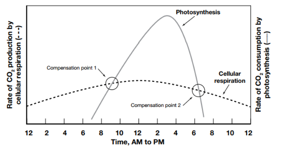 Solved: Life On Earth Ultimately Relies On Two Biochemical... | Chegg.com