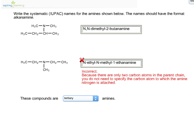 Solved: Write The Systematic (IUPAC) Names For The Amines ... | Chegg.com