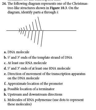 Solved: 24. The Following Diagram Represents One Of The Ch... | Chegg.com