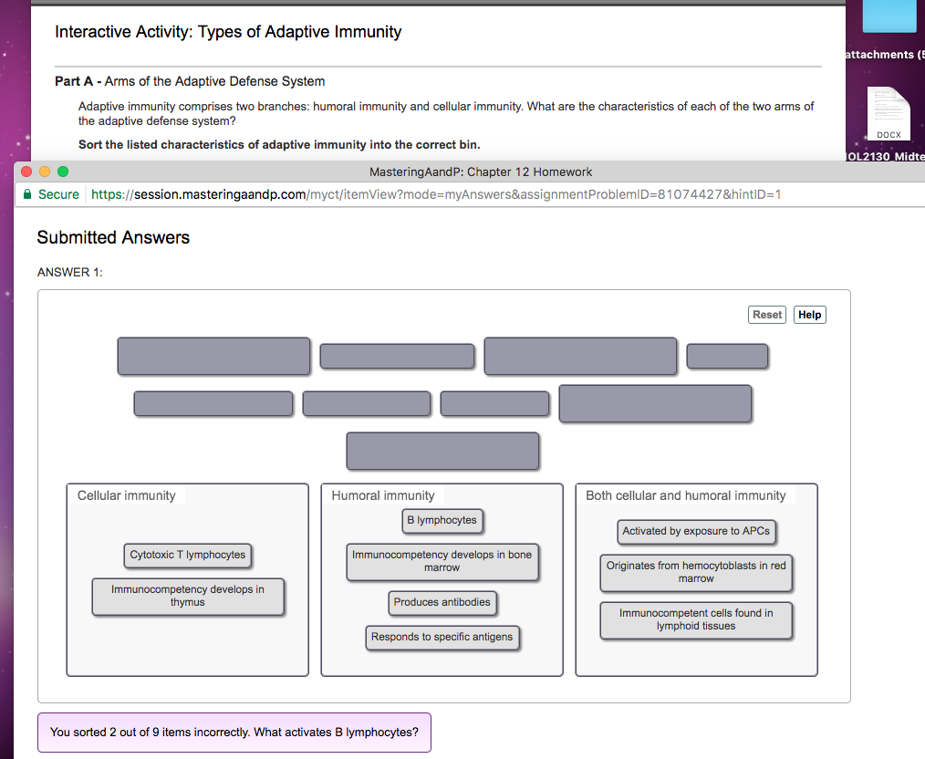 Solved: Interactive Activity: Types Of Adaptive Immunity P... | Chegg.com
