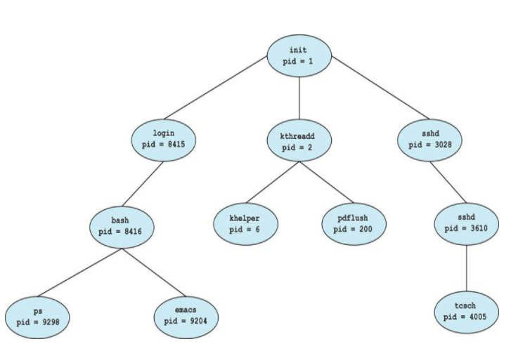 Solved init pid 1 login pid 8415 kthreadd sshd pid 2 | Chegg.com