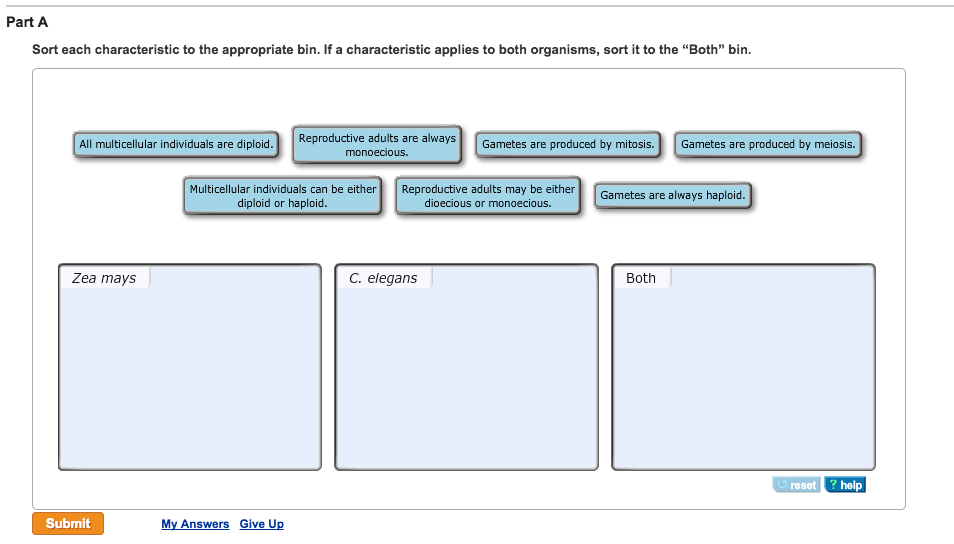 Solved Part A Sort each characteristic to the appropriate | Chegg.com Solved Part A Sort each characteristic to the appropriate | Chegg.com