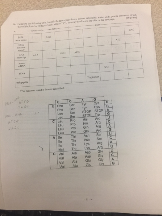 Solved Complete the following table, Identify the | Chegg.com