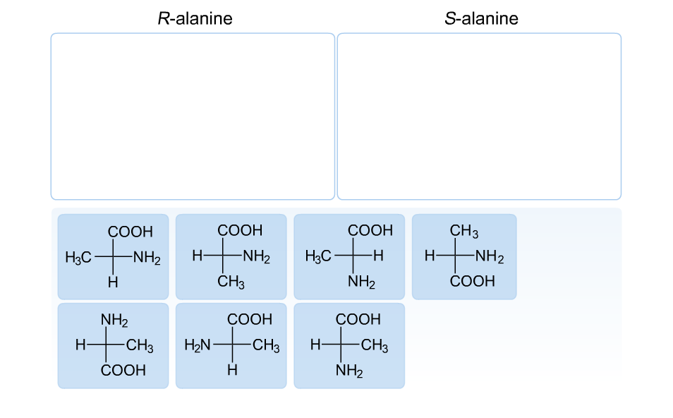 Solved The amino acid alanine is shown below in several | Chegg.com