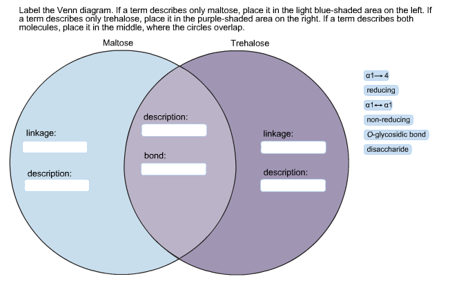 Solved The structures of maltose and trehalose are shown | Chegg.com Solved The structures of maltose and trehalose are shown | Chegg.com