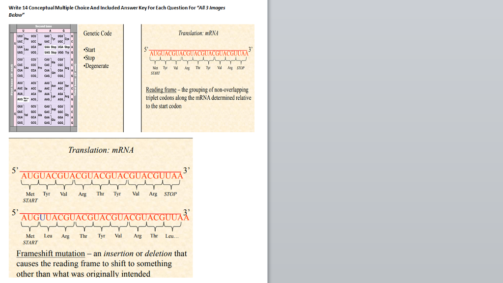 Solved Note: Write 14 Conceptual Multiple Choice And | Chegg.com