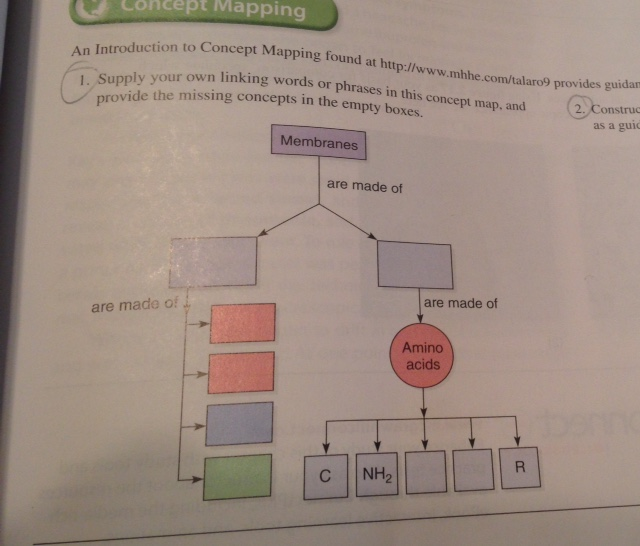 Solved 1. Supply you own linking words or phrases in the | Chegg.com
