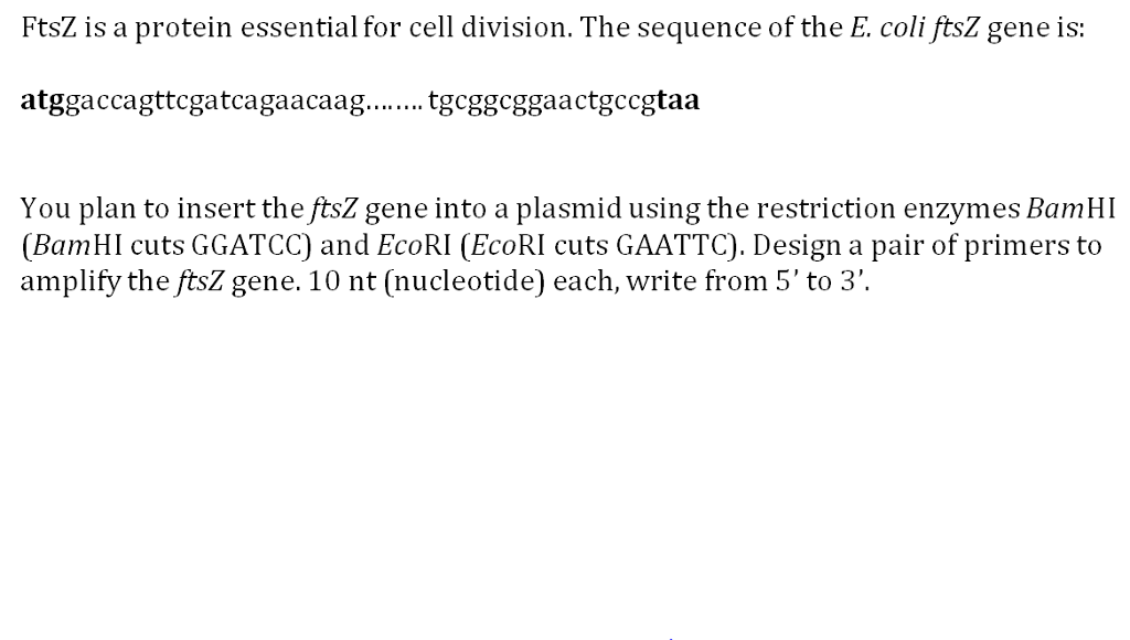 Solved FtsZ is a protein essential for cell division. The | Chegg.com