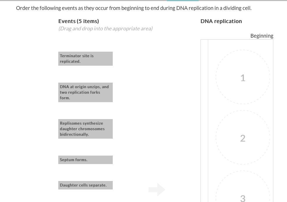 Solved Order the following events as they occur from | Chegg.com