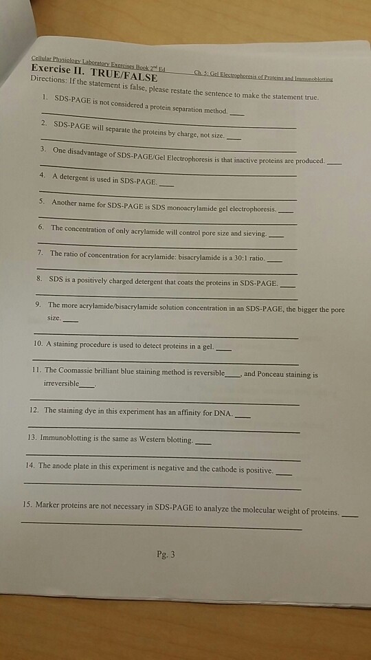 Solved Exercise II. TRUE/FALSE Directions: If the statement | Chegg.com Solved Exercise II. TRUE/FALSE Directions: If the statement | Chegg.com