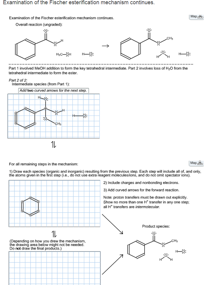 Examination of the Fischer esterification mechanism | Chegg.com