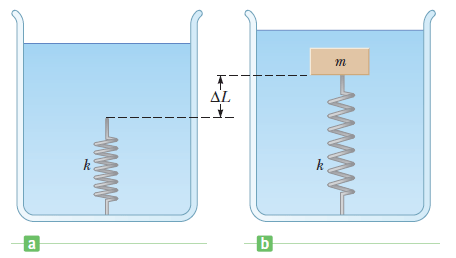 Solved 1. A light spring of force constant k = 162 N/m | Chegg.com