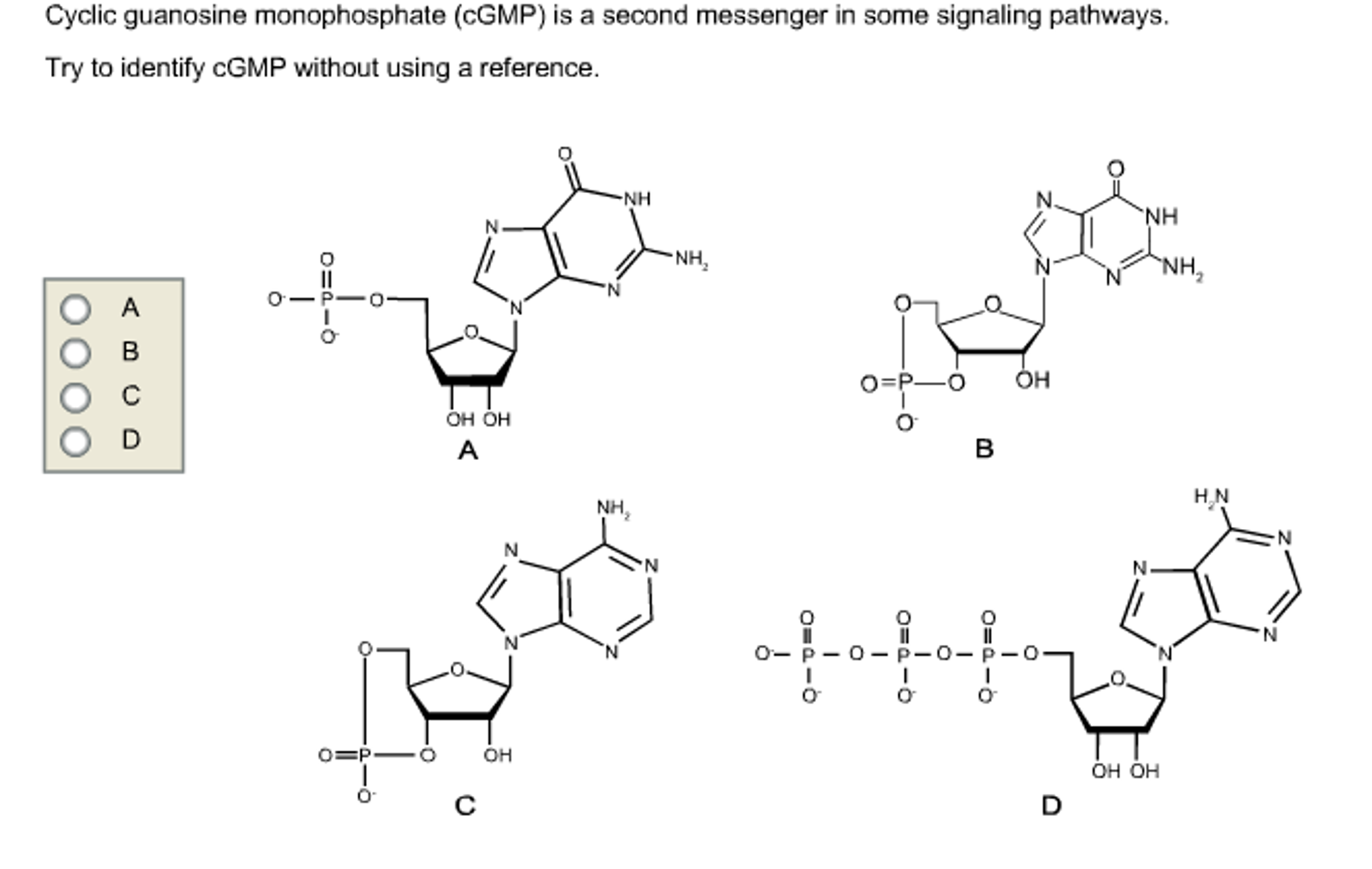 Cyclic Guanosine Monophosphate