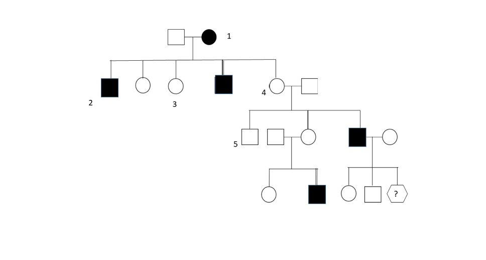Solved 5. In the following pedigree assume that none of the | Chegg.com Solved 5. In the following pedigree assume that none of the | Chegg.com