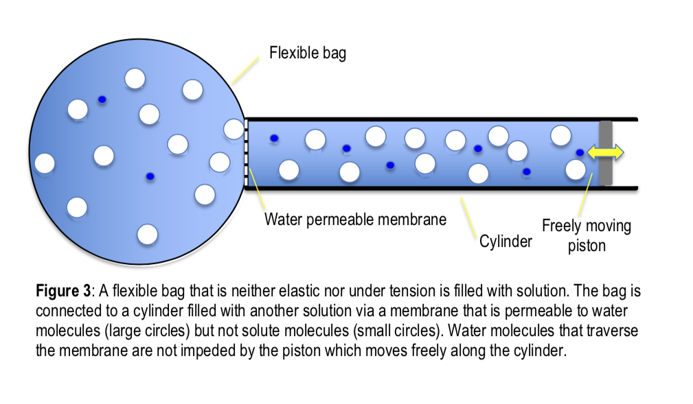 Flexible bag Water permeable membrane Freely moving | Chegg.com