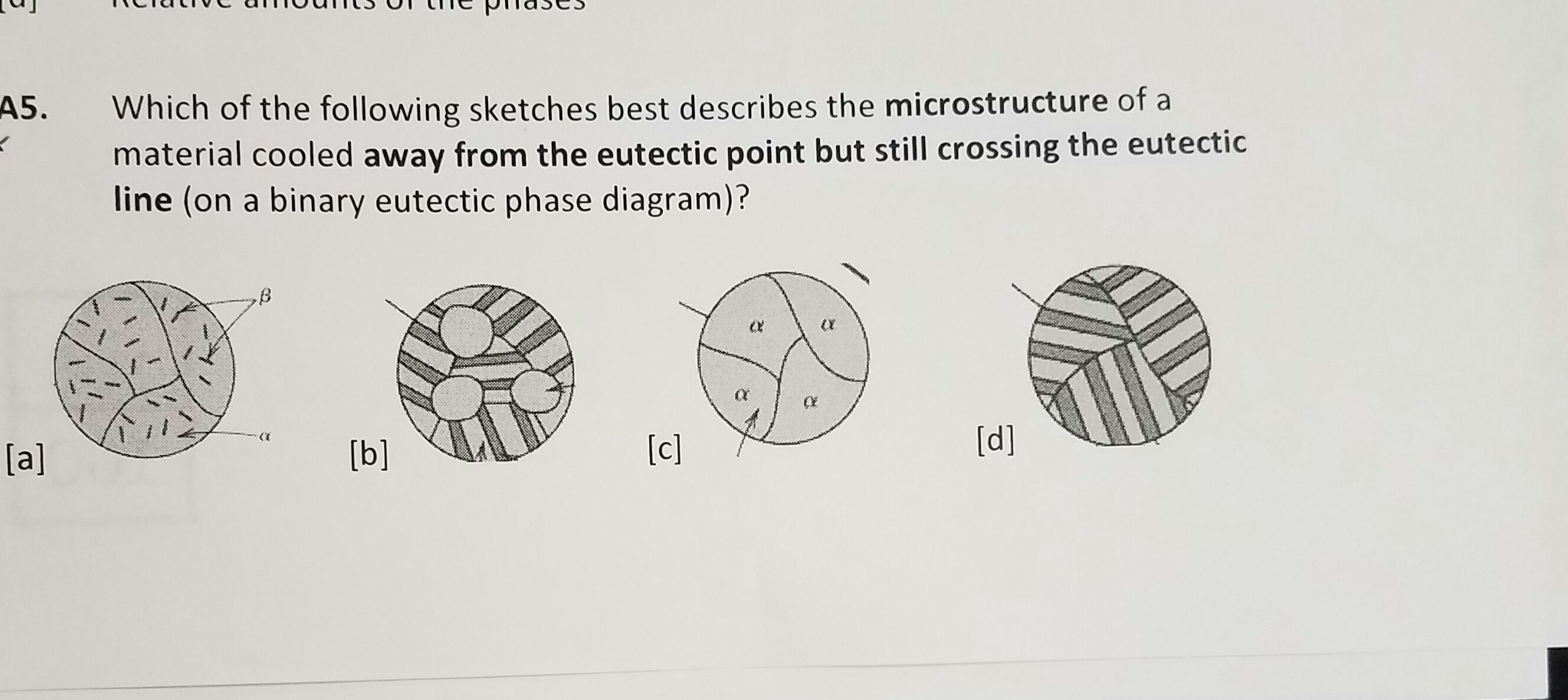 Solved Which of the following sketches best describes the | Chegg.com