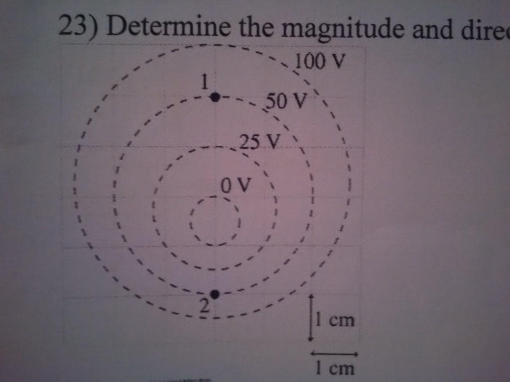 Solved Determine The Magnitude And Direction Of The Electric