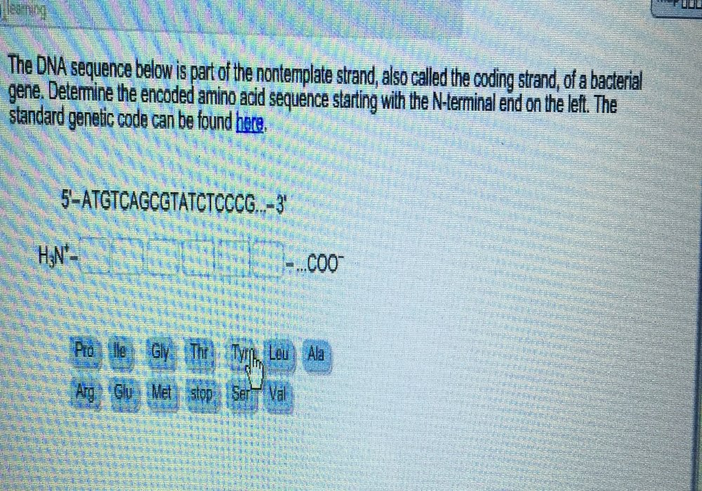 Solved The Dna Sequence Below Is Part Of The Nontemplate 5566