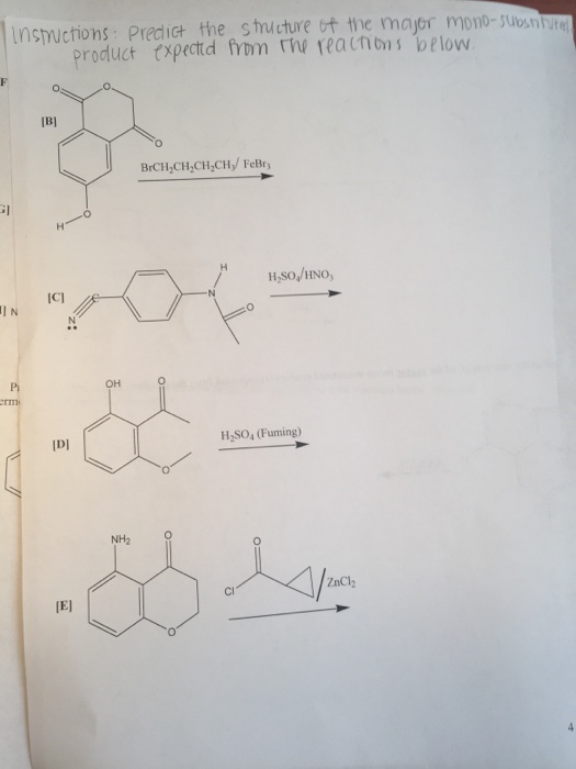 Solved Predict the structure of the major mono-substituted | Chegg.com