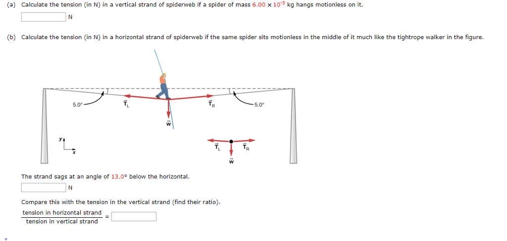 Solved it. (b) Calculate the tension (in N) in a horizontal | Chegg.com