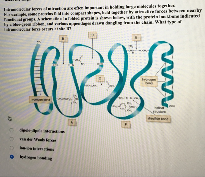 Solved Intermolecular forces of attraction are often | Chegg.com