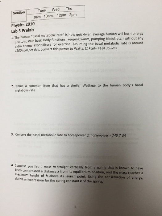 Solved The human "basal metabolic rate" is how quickly an | Chegg.com