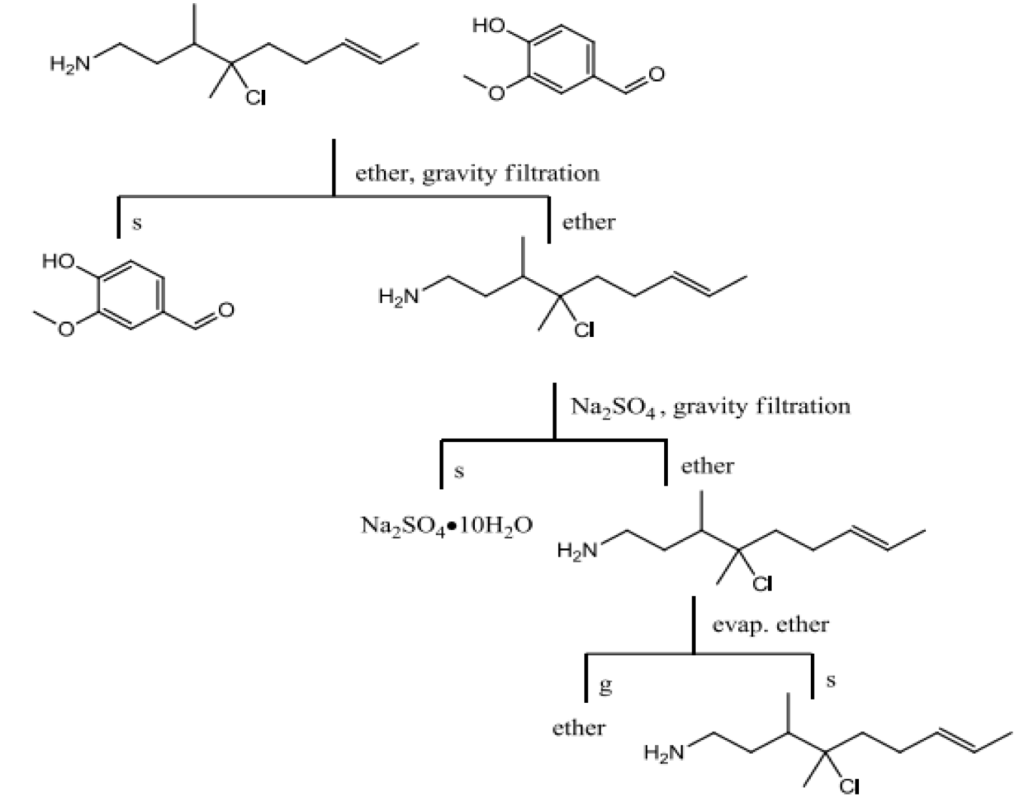 Solved Assignment 5: Separation Scheme Correction on a page | Chegg.com