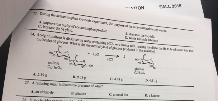 Solved During the acetaminophen synthesis experiment, the | Chegg.com