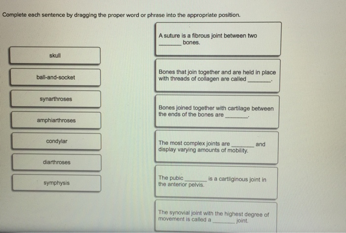Solved Complete each sentence by dragging the proper word or | Chegg.com