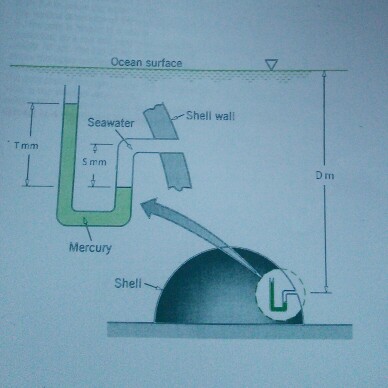Solved A hemispherical shell that is filled with air is | Chegg.com