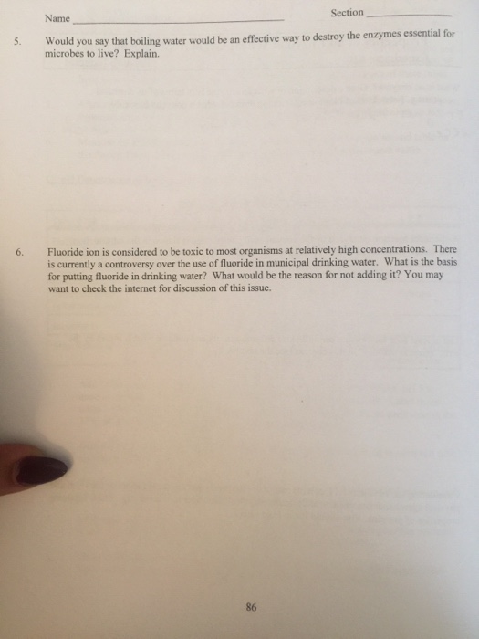 Solved L Experiment 10 Pre Lab Exercise What Is An Enzyme