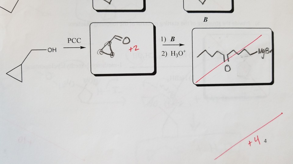 Solved Provide the structure of the starting material of the | Chegg.com