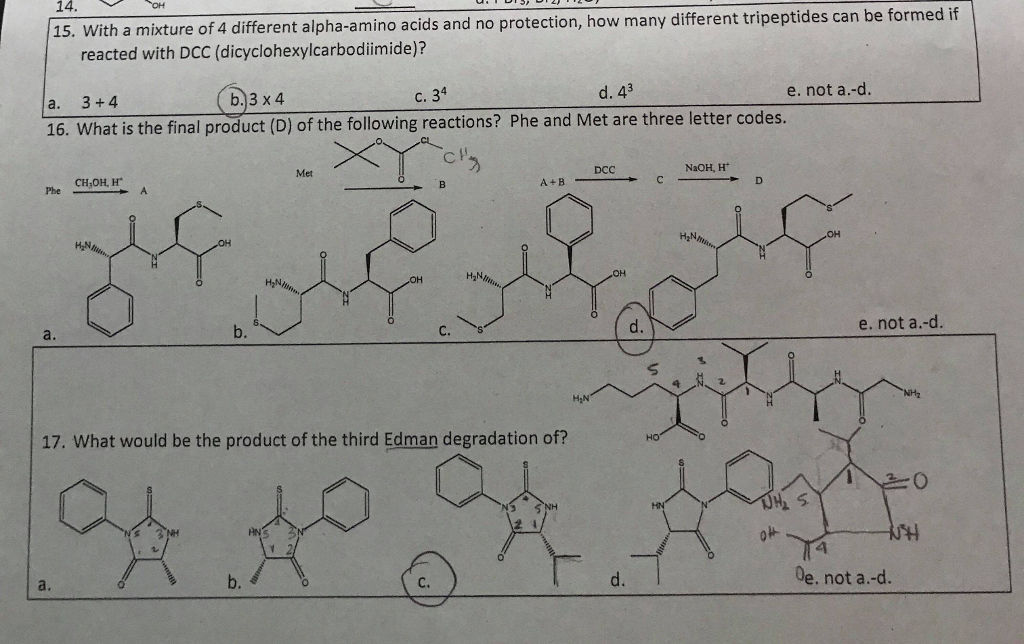 Solved 14 15. With a mixture of 4 different alpha-amino | Chegg.com