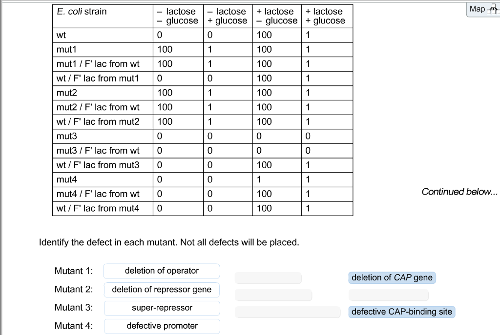 Solved Suppose Jim isolated four E. coli mutants, mut1 to | Chegg.com