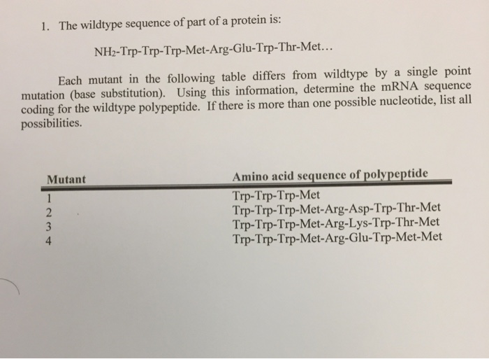 Solved The wildtype sequence of part of a protein is: | Chegg.com