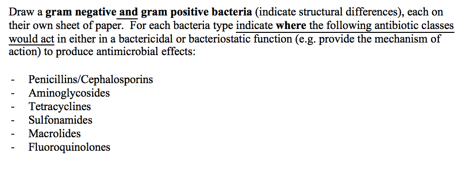 Solved Draw a gram negative and gram positive bacteria | Chegg.com