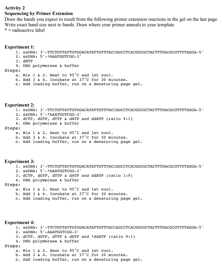 Activity 2 Sequencing by Primer Extension Draw the | Chegg.com