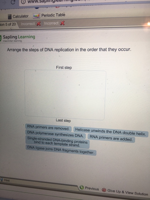 Solved Arrange the steps of DNA replication in the order | Chegg.com Solved Arrange the steps of DNA replication in the order | Chegg.com