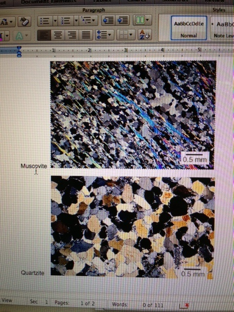 Solved Metamorphic rocks display textures that tell us about | Chegg.com