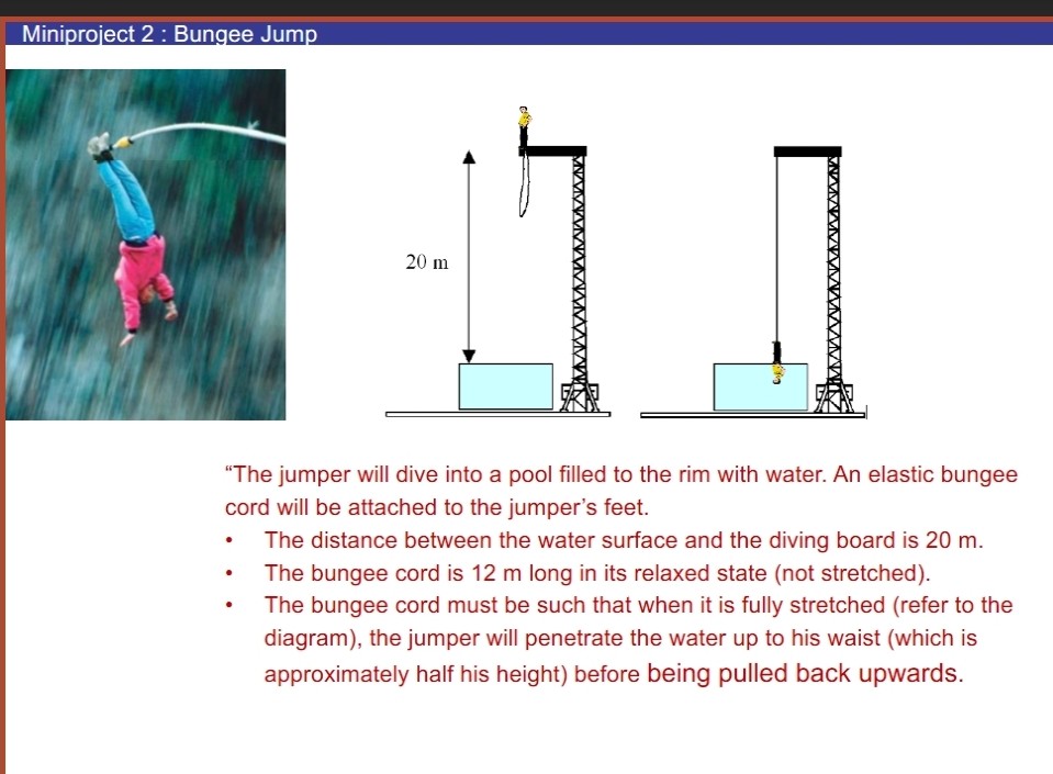 Miniproject 2 : Bungee Jump 20 m "The jumper will | Chegg.com
