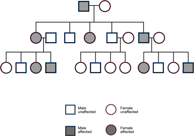 Solved 8). What is most likely the pattern of inheritance | Chegg.com