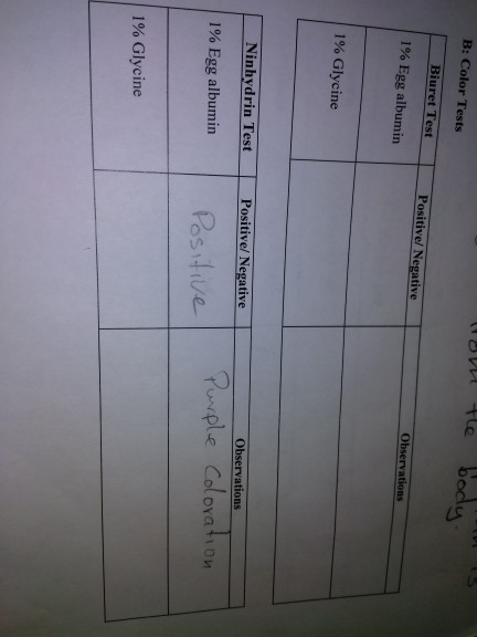 Solved B: Color Tests Biuret Test Positive/ Negative 196 Egg | Chegg.com