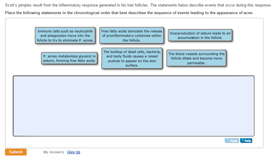 Solved Scotts pimples result from the inflammatory response | Chegg.com